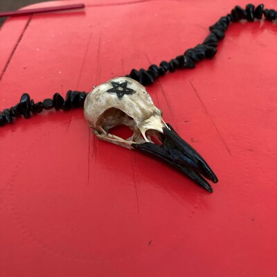 Real Magpie Crow Wings A1 Quality Corvid Taxidermy Gothic Curo Study ...