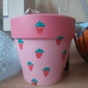 Handpainted CUSTOM DESIGN Plant Pot - Etsy UK
