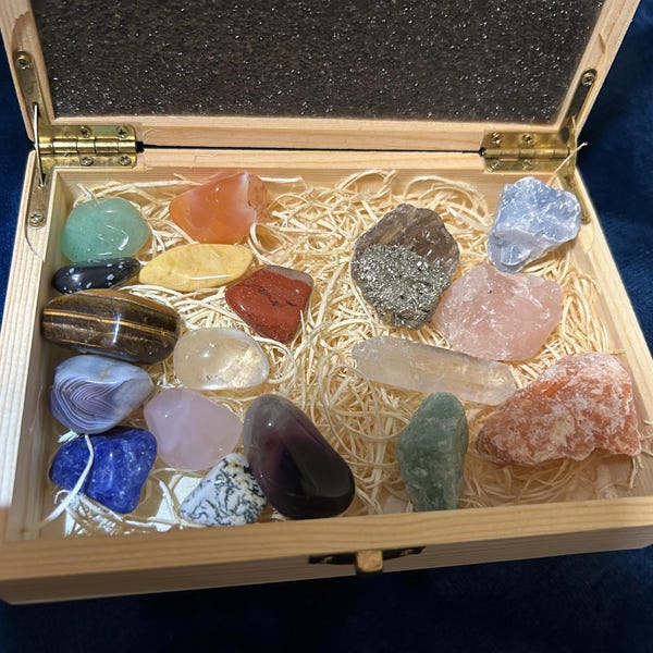 Fossil Mix | Raw Fossil Hunting Kit | Genuine Assortment of Fossils ...