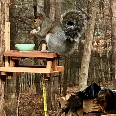 Helping Hand Wall Mounted Key Holder / Wallet Holder / Glasses - Etsy