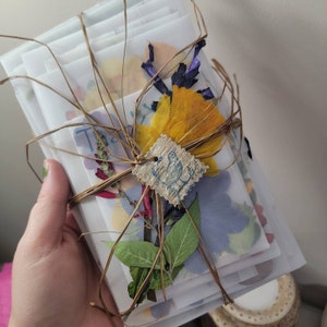 60 Pc Pressed Flowers Anemone Buttercup Periwinkle Daffodil Lenten Rose ...