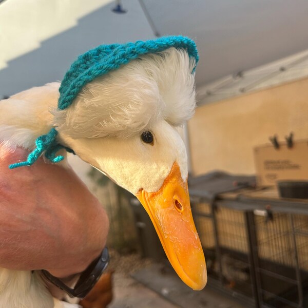 Made to Order: Knit I-cord - Crafting - Decorative Rope - Yarn - Rope ...