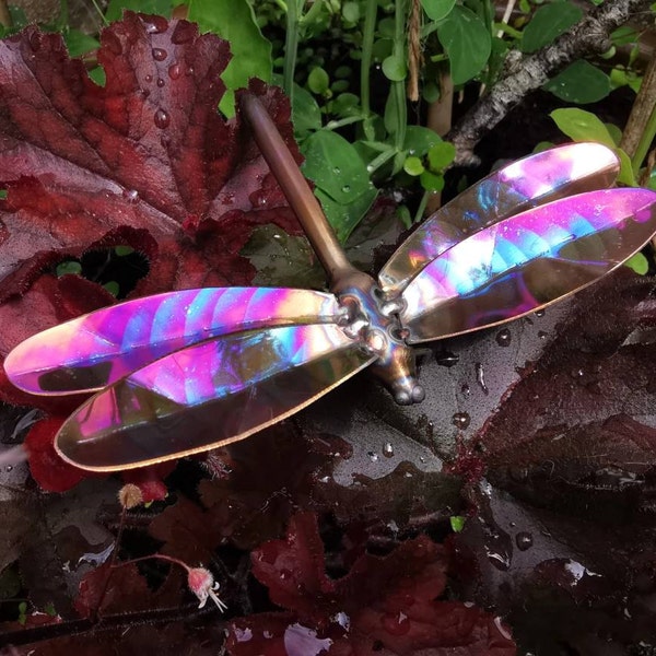 Gloss Black Spider. Made From Stainless Steel Dome Nuts. Scary ...