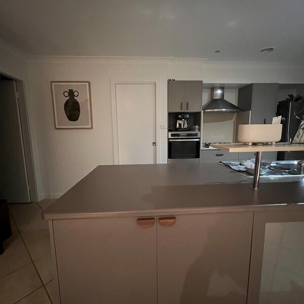 Exquisite Shell Knobs Brass Drawer Knobs Pulls Dresser Knobs Kitchen Cabinet Pulls Handle Door ...