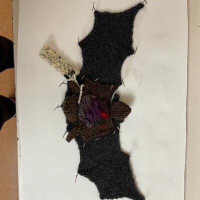 Knitted Dissected Bat Specimen - Etsy