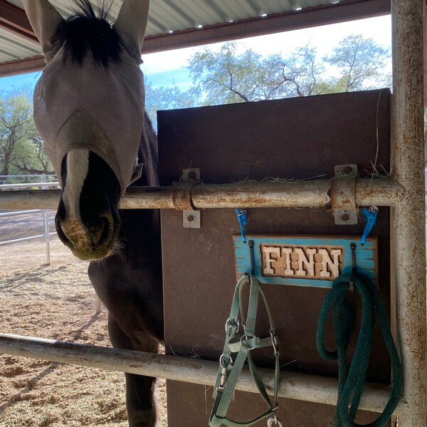 Horse Stall / Stable Sign 4 or 5 Letter Sign Rustic Horse Stall Sign ...