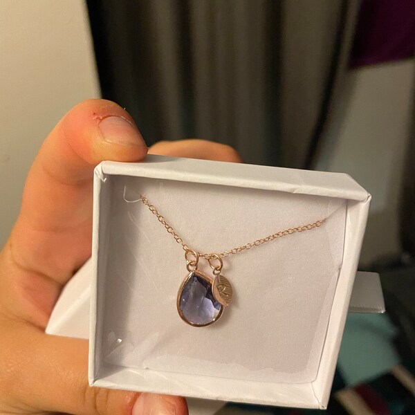Amethyst Necklace, Birthstone Necklace, Personalized Initial Charm ...
