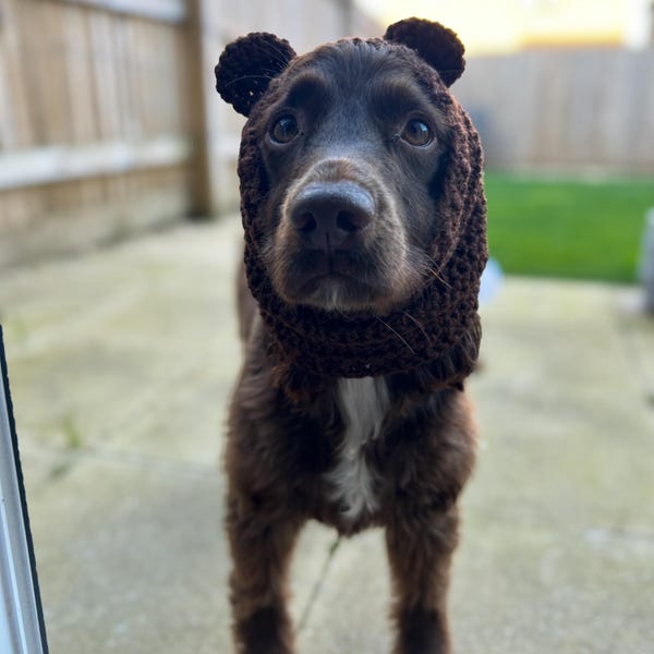 Bear Dog Snood - Etsy