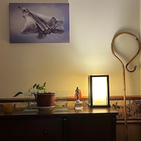 Pablo Picasso First Steps Canvas,picasso,picasso Canvas Decor,picasso ...