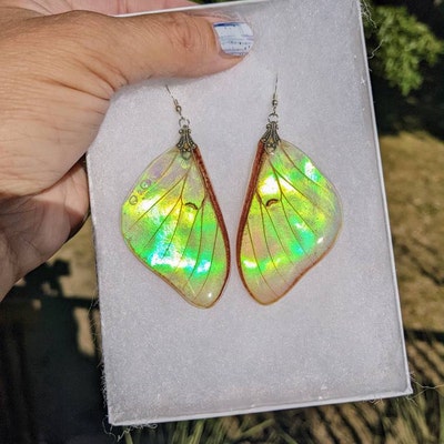Extra Large Cicada Wing Fairy Earrings Real Insect Wing - Etsy