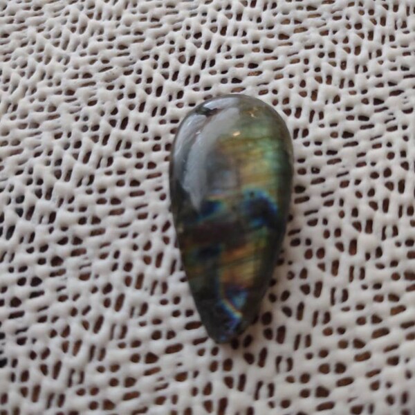 Natural Petrified Palm Root Fossil Smooth Cabochon Loose Gemstones ...