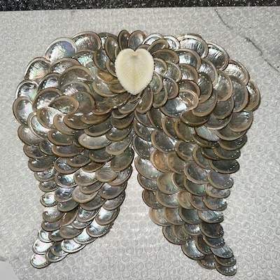 Starburst Carrier Shell stellaria Solaris for Coastal Home Decor ...