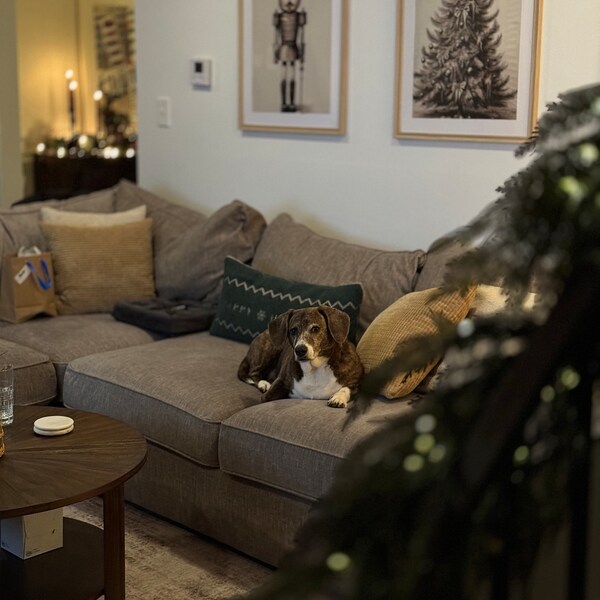 Musical Notes Set of 3. Treble Clef, Eighth Note and Bass Clef ...