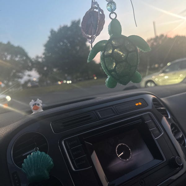 Freshie Car Accessories Turtle Etsy