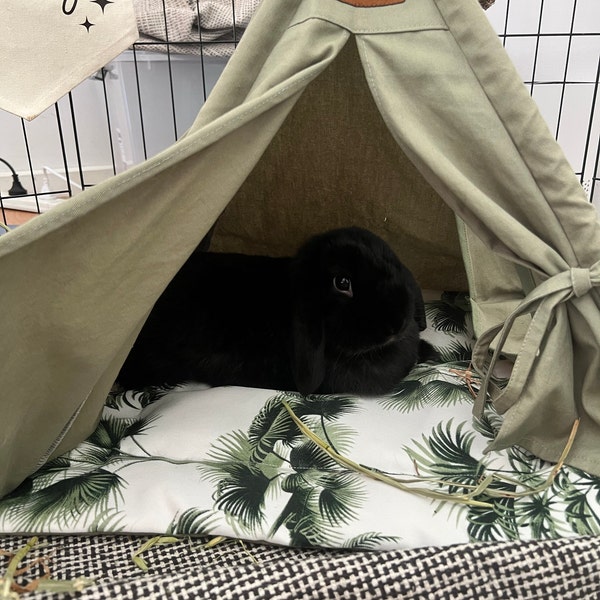 Digital Download Plans for Luxury Bunny Cubby Free Roam Rabbit Cat Home ...