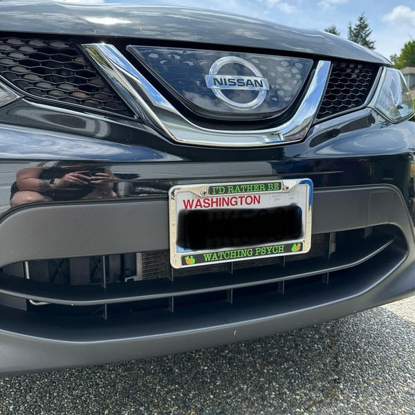Replica "the Blueberry" - License Plate (psych - TV Show) - Etsy