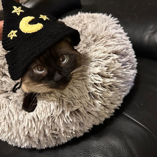 Wizard Pet Costume, Wizard Costume for Cat, Halloween Cat Hat, Wizard ...