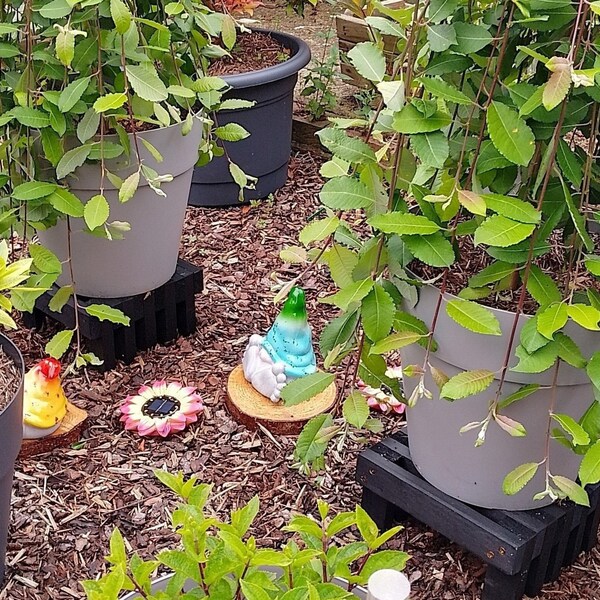 Rotting Wooden Insect Spider Bee House Natural Wood Food Hotel Shelter ...