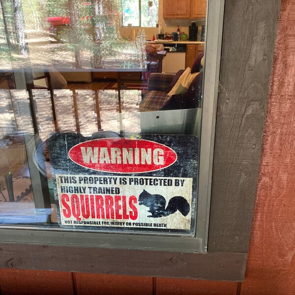 Funny Squirrel Sign, Protected by Squirrels Animal Decor, Humorous ...