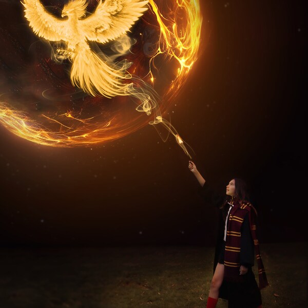 Shark Animal Magic PNG Overlay (TRANSPARENT BACKGROUND) - Etsy