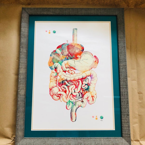 Digestive System Anatomy Print Gastrointestinal Tract Watercolor GI ...