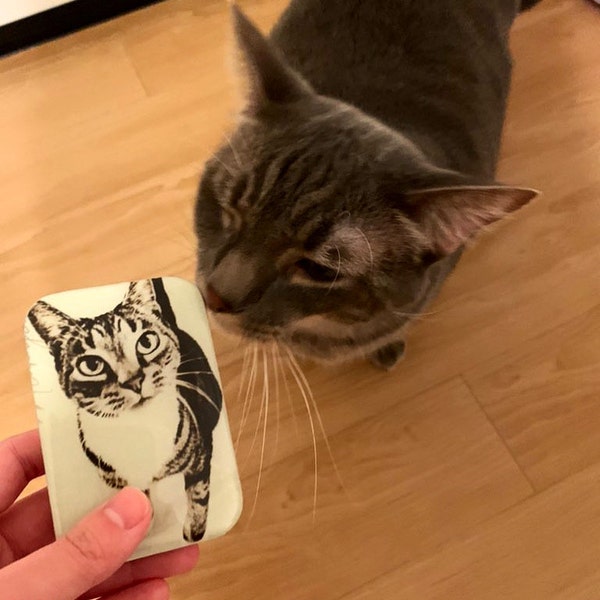 Cat Knitting Notions Tin, LARGE Card Case (026) - Etsy