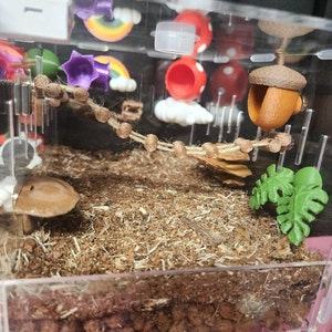 3D Printed Magnetic Acorn Spider Hide Upgraded Sling Acorn Magnets - Etsy