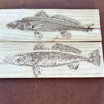 Redfish Red Fish Spot Red Drum SVG PNG DXF Vector Transparent Cameo ...