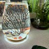 Large Shrimp Ecosphere - Closed Aquatic Ecosystem (glass, Natural ...