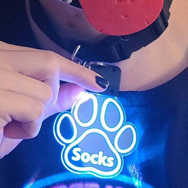 Human Pup Necklace - Light up Dog Tag - Color Changing - Stocking ...