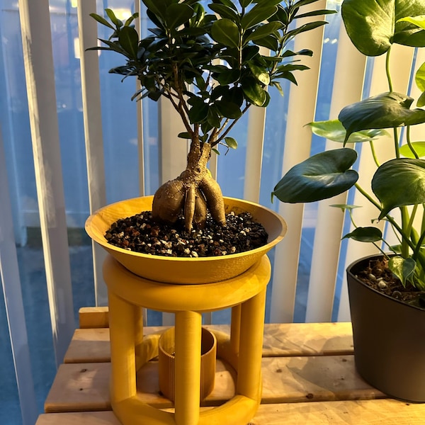 The Conduit Plant Pot With Stand and Water Catch for Indoor Bonsai Pot ...