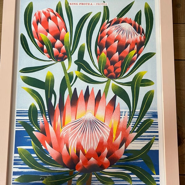 Anna Solid Color Frame- Choose Your Size/color- Narrow Frame - Handmade ...