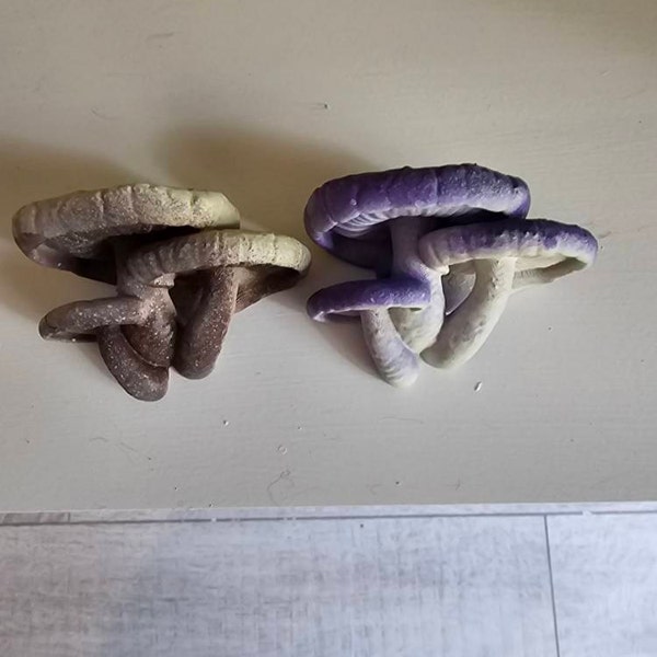 Snail Core Bowl, Unique 3D Printed Decor, Spiral Design, Artistic ...