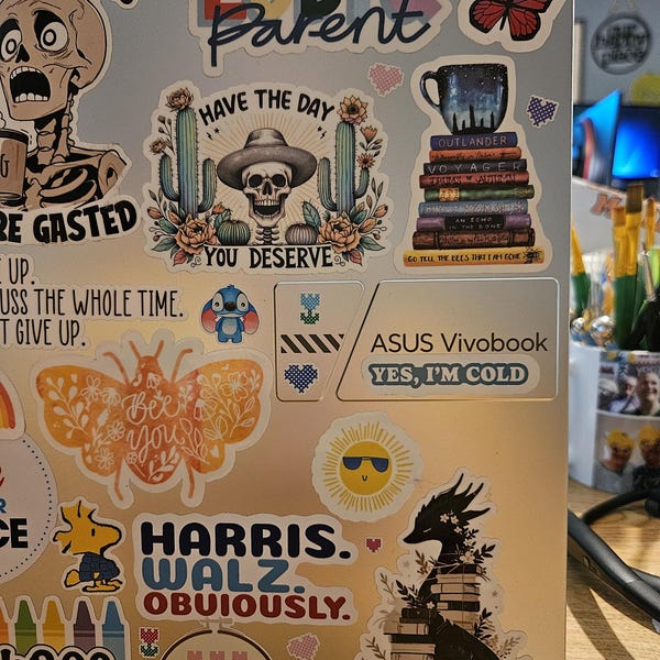 I'm Sorry Facts and Logic Offend You Vinyl Sticker, Funny Stickers ...