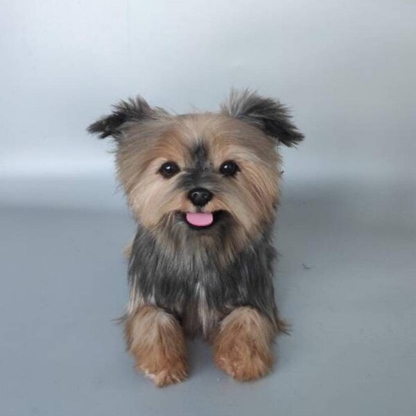 Custom Life Like Dog Plushie Clone - Etsy