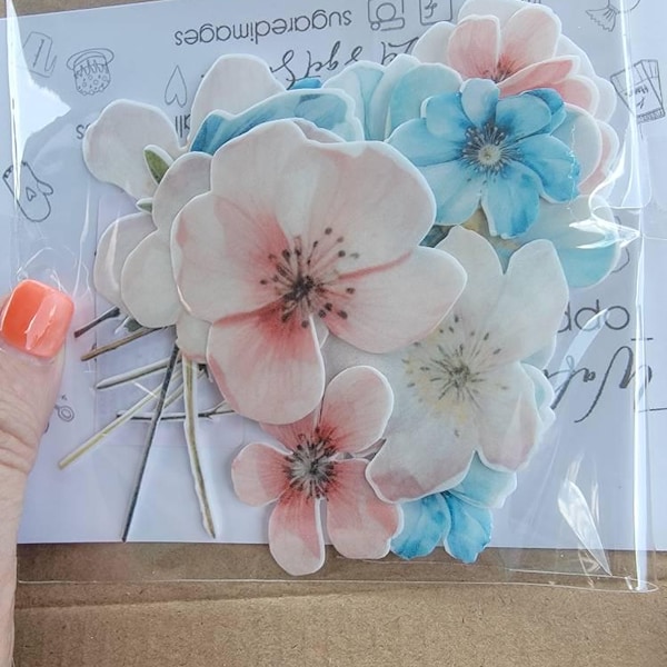 Cake Scene Cute Squishies, Edible Squish Plush Toy Toppers, Cute Plushie Cake Topper, Edible ...