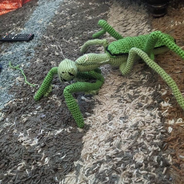 Praying Mantis Crochet Pattern - Etsy