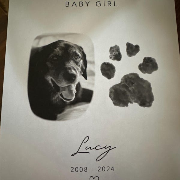 Custom Digital Paw Print and Photo | Dog Paw Print | Paw Print | Dog ...