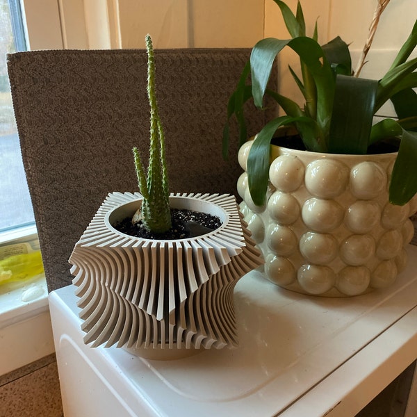 A “ANIO” 3D Custom Printed Wacky Planter Pot | Modern Home Office Decor ...