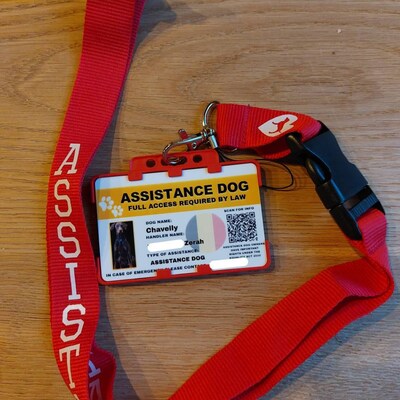 Customized Plastic ID Card Staff Badges, Membership Cards, Loyalty Card ...