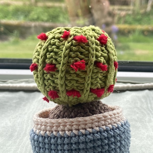 Barrel Cactus Crochet Pattern - Etsy