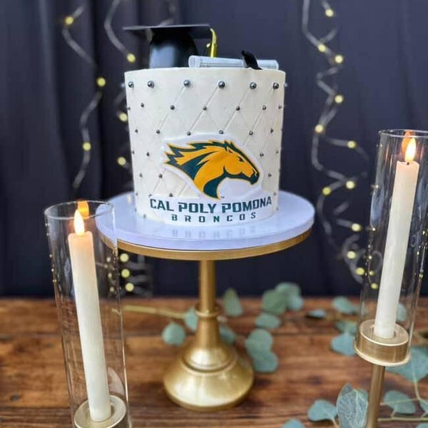 Custom Sweet 16 License Plate Cake Topper. License, Permit Driver ...