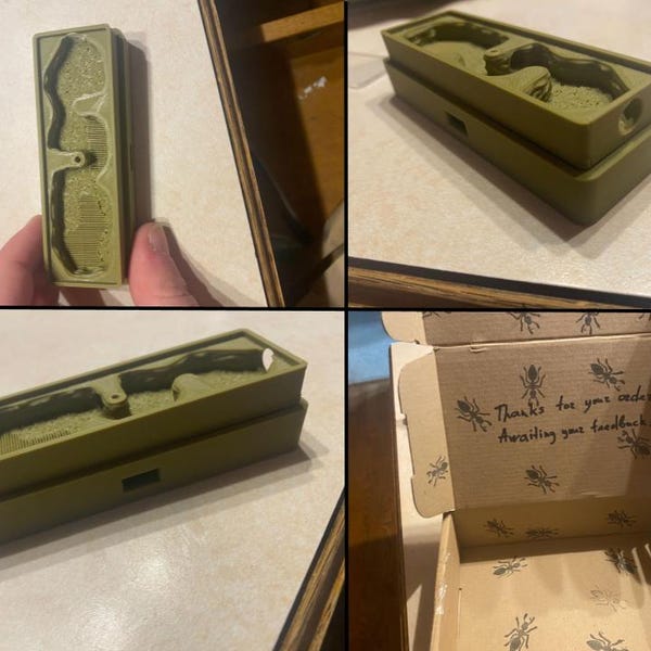Ant Farm "hill" Vertical Formicarium - Etsy