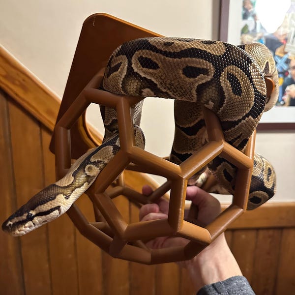 Python Playground STANDARD L Snake Climbing Enrichment , Snake ...