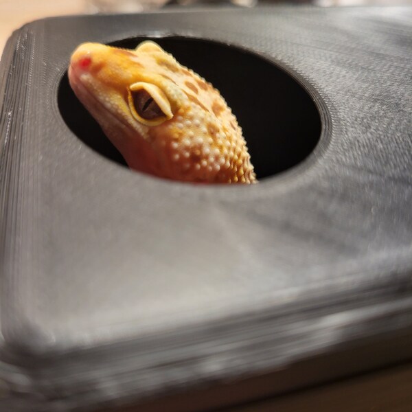 Leopard Gecko Hide, Moist Hide Lay Box, and Feeding Station - Etsy