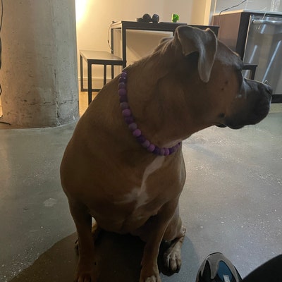 Macrame Bandana Dog Bandana Boho - Etsy