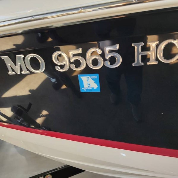 Wake Series Domed Boat Lettering White Center / Chrome Outline Raised ...