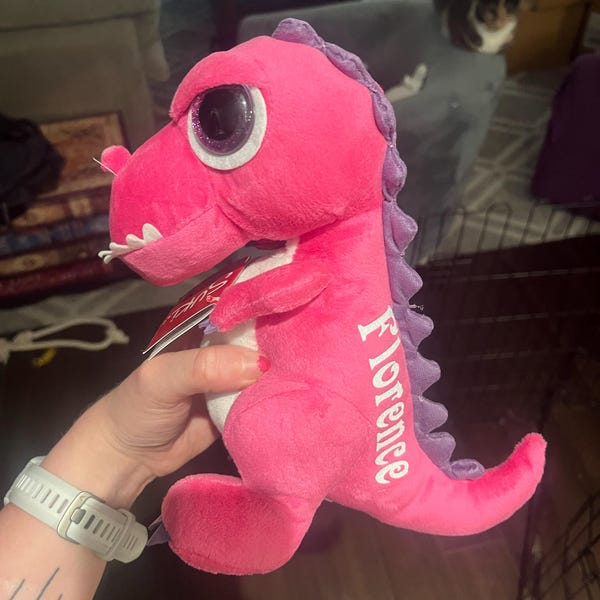 Personalised T-rex Dinosaur Soft Toy - Etsy