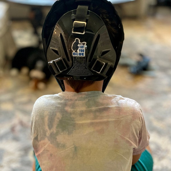 I Got You Blue Sticker, Catcher's Mask, Helmet Sticker, Umpire Sticker ...