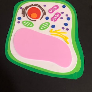 Plant Cell SVG and PDF Printable a Homeschool or Classroom Science ...